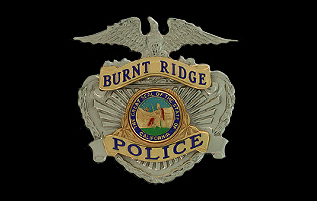 Buy N136 - CW Nielsen Online at Best price - WA